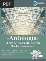 Armaduras - Tipo Howe | PDF | Braguero | Ingeniero civil