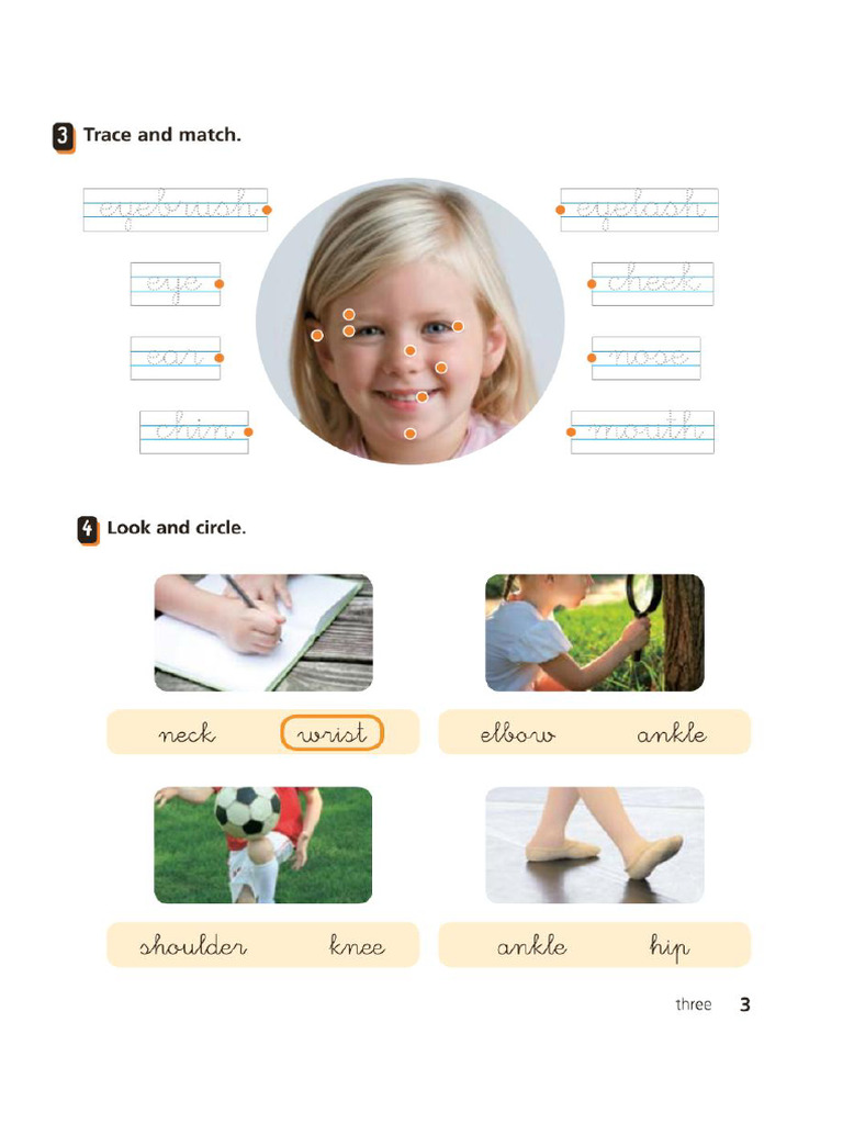 My Body 1 | PDF