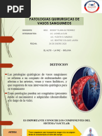 Anatomía y disección de la arteria mamaria interna | PDF | Tórax | Aorta