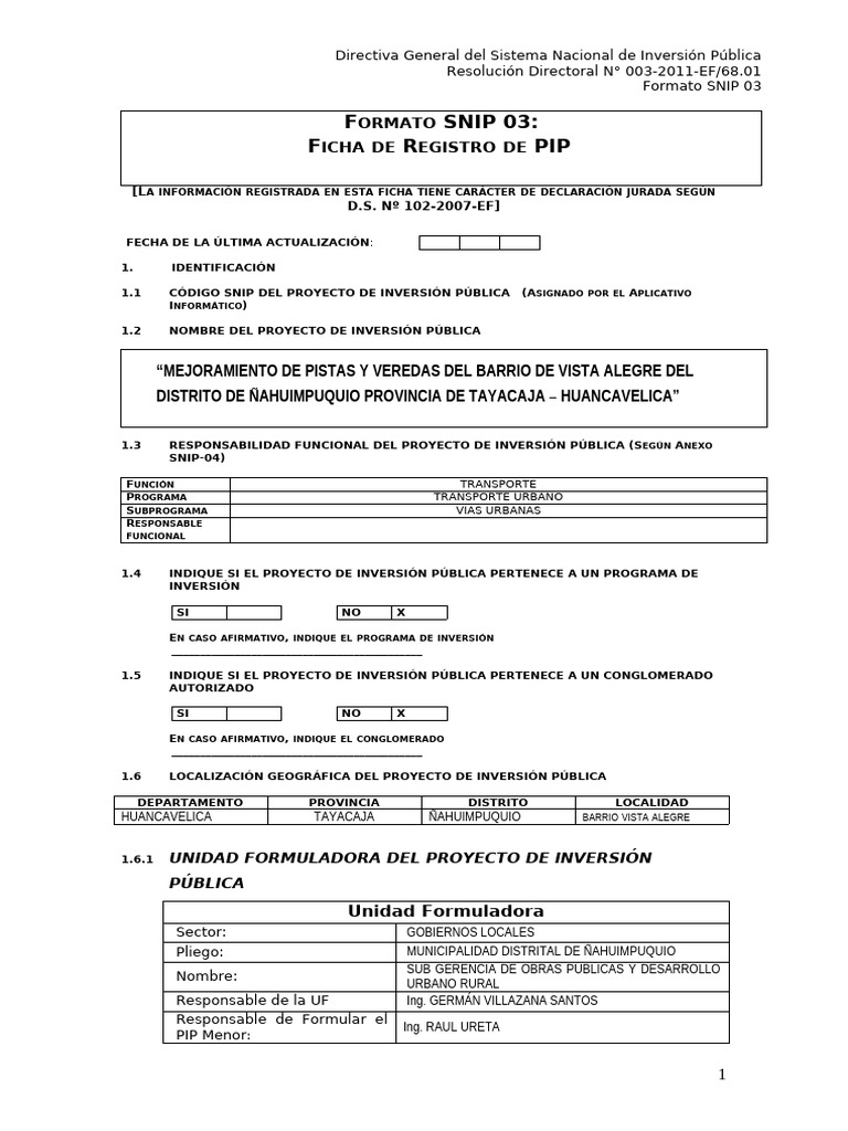 Ficha Snip | PDF