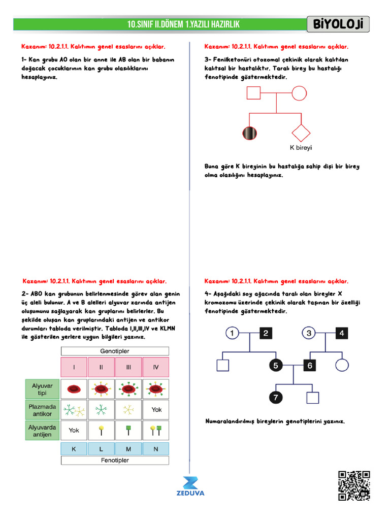 10.sinif Biyoloji 2.donem 1.yazili Sorulari | PDF