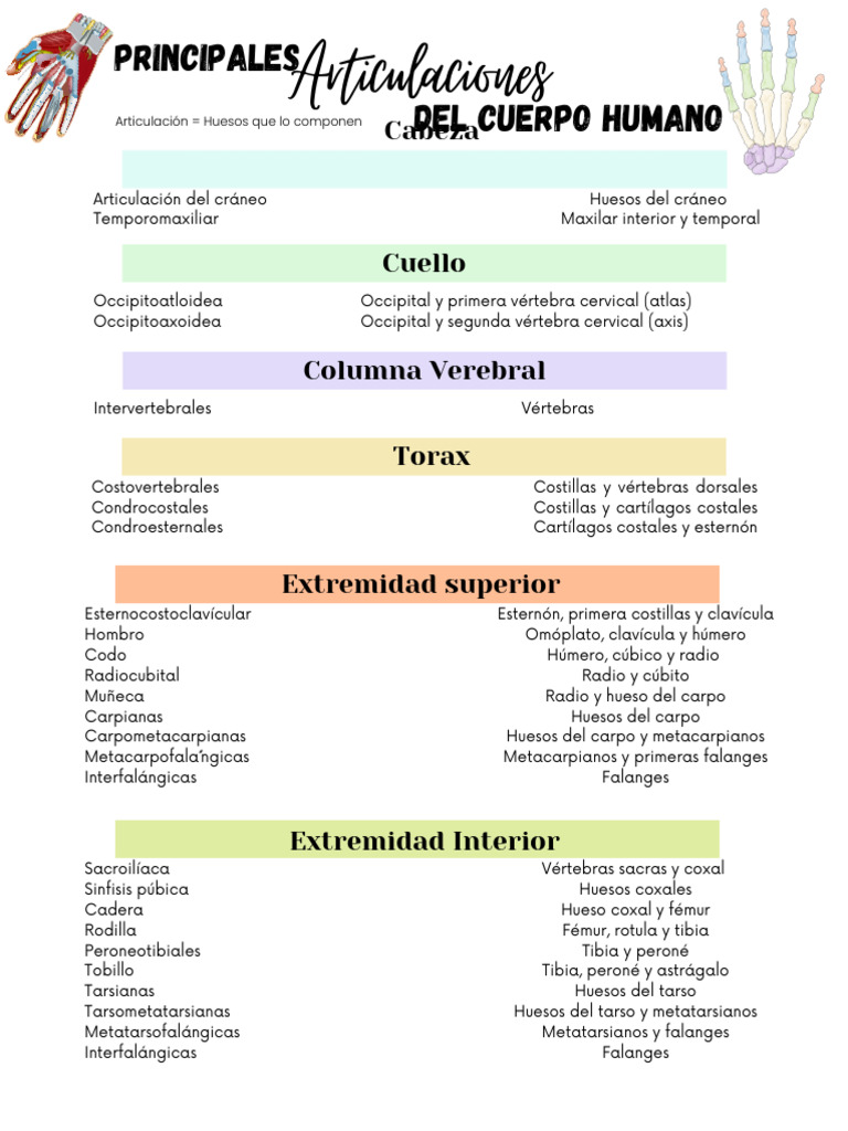 Articulaciones PDF | PDF | Vértebra | Articulación