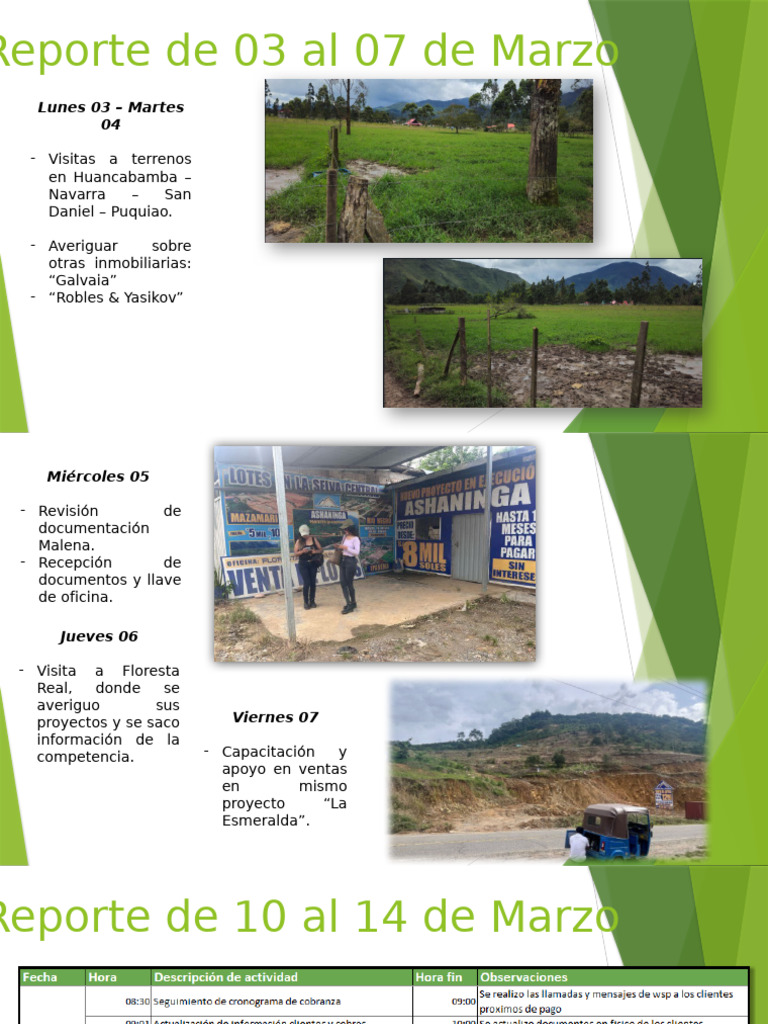 Reporte de 03 Al 14 Marzo | PDF