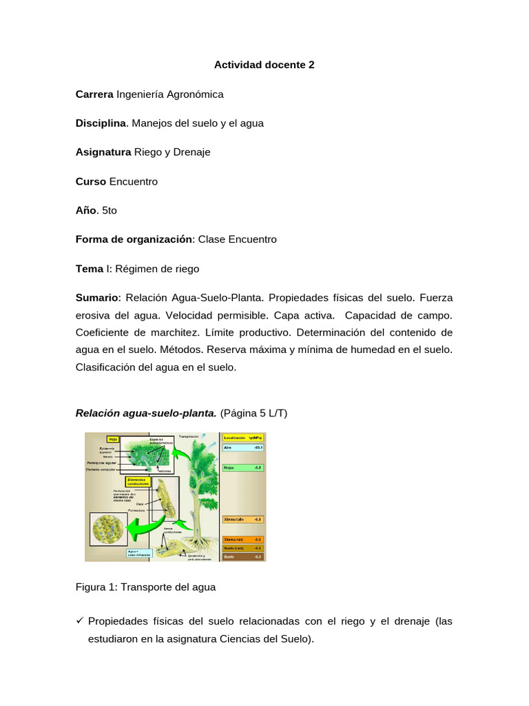 Clase Encuentro 2. Guia para Alumnos | PDF | Suelo | Arcilla