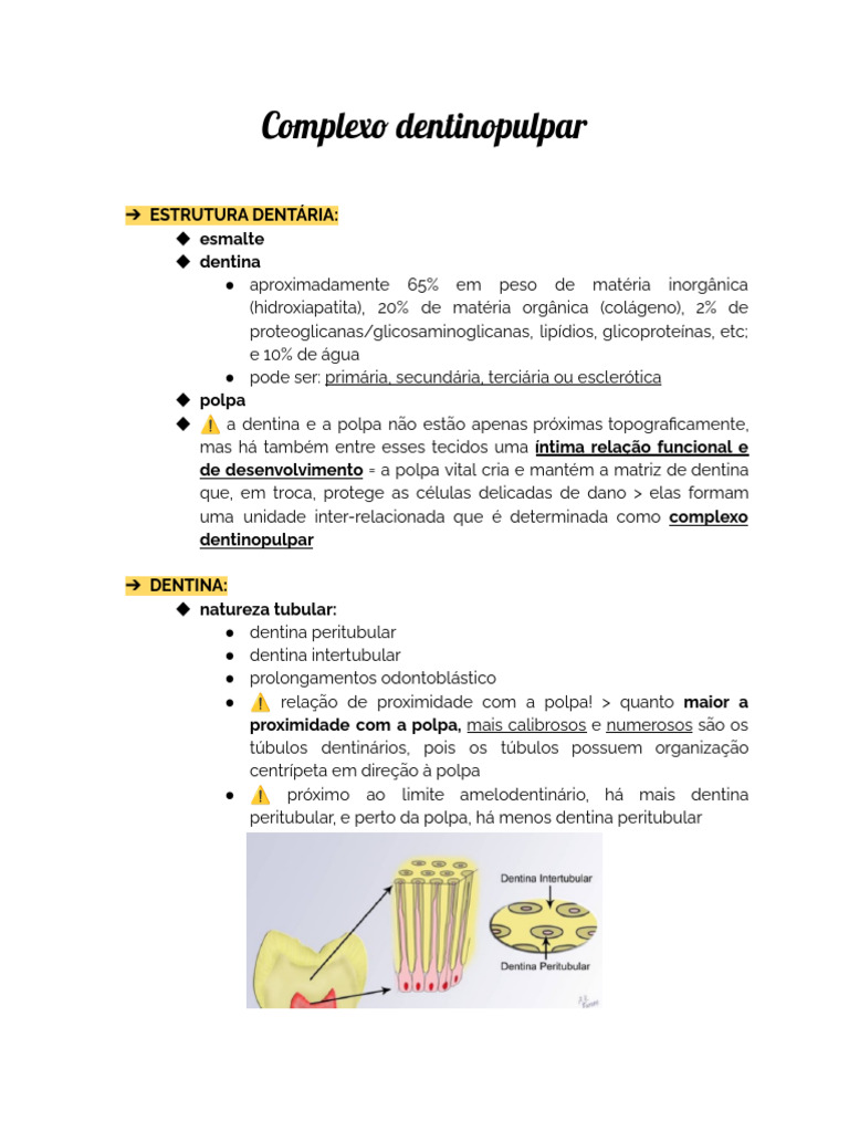 Complexo Dentinopulpar | PDF