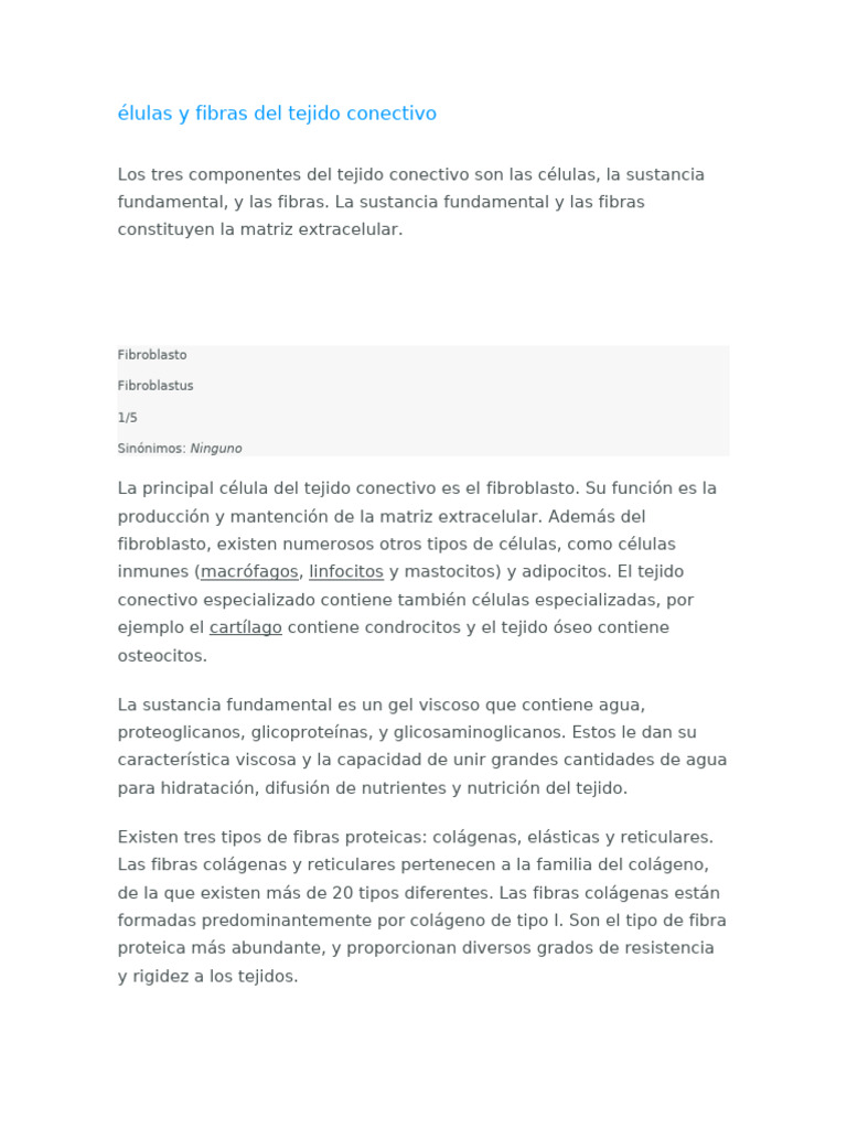 Élulas y Fibras Del Tejido Conectivo | PDF | Tejido conectivo | Cartílago