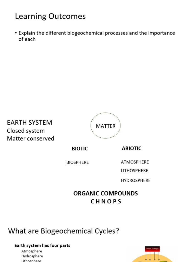 Biogeochemical Cycle Final | PDF | Eutrophication | Phosphorus