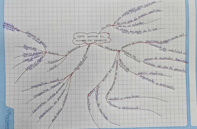 Mapa Mental - Pmi | PDF