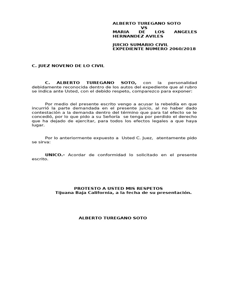 Acusación de Rebeldía en Juicio Civil | PDF