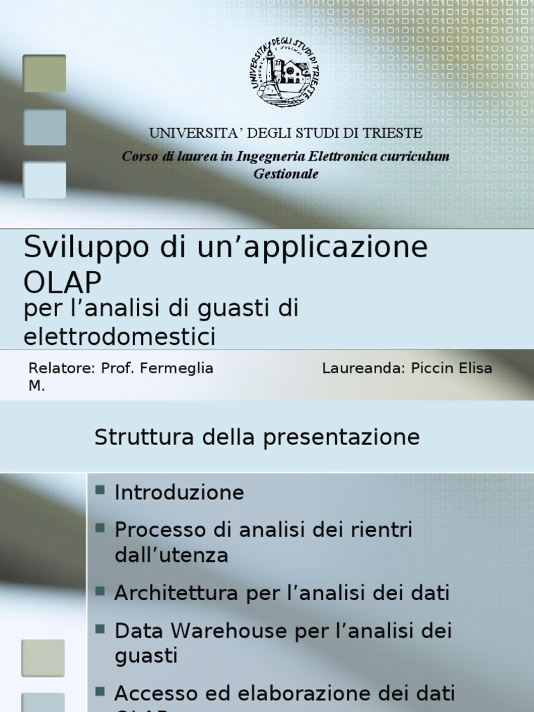 Piccin Elisa | PDF