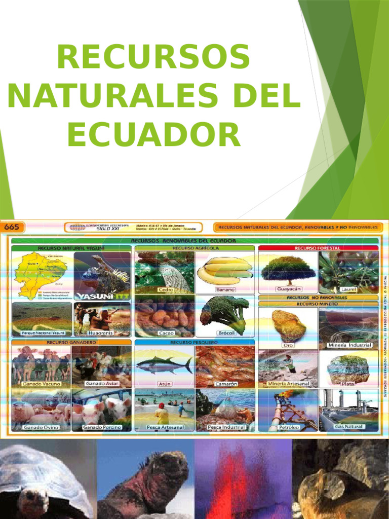 Recursos Naturales Del Ecuador | PDF