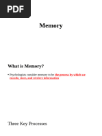 HM's Memory Loss: Milner's 1966 Study | PDF | Memory | Amnesia