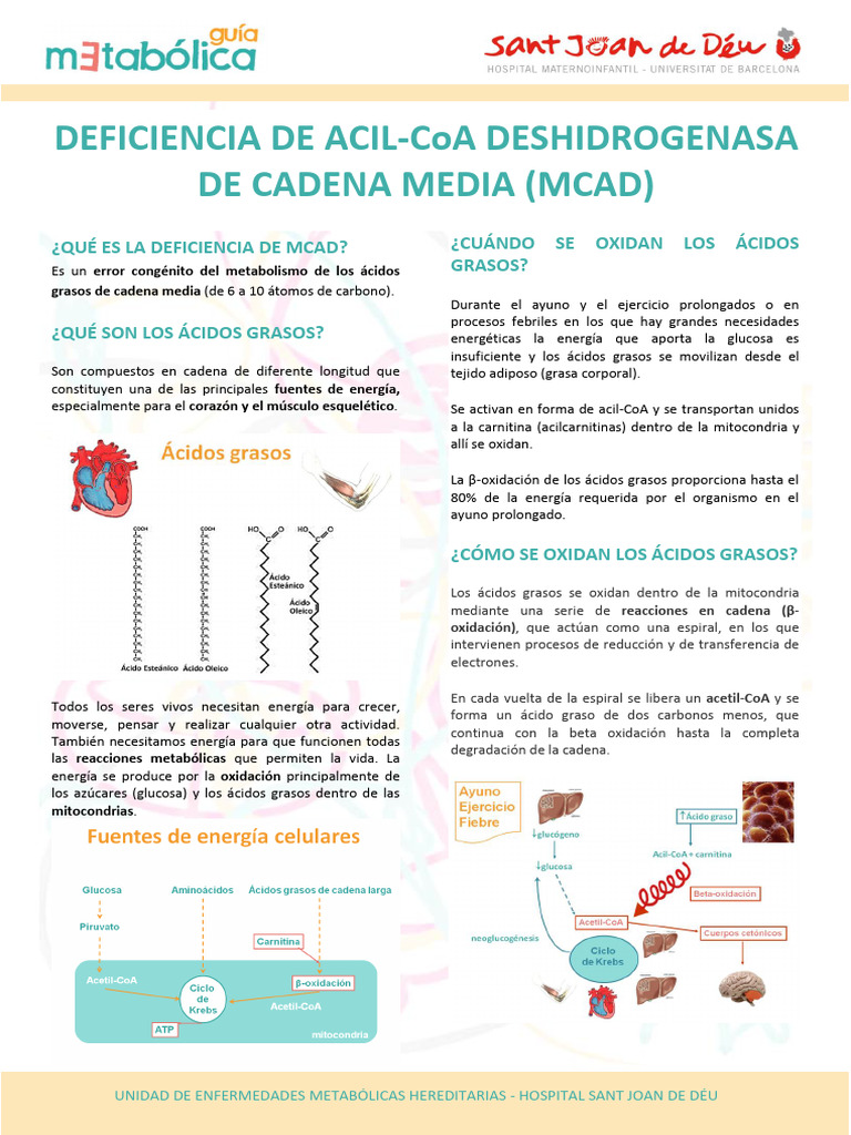 Deficiencia MCAD DIP ES | PDF | Metabolismo | Ácido graso