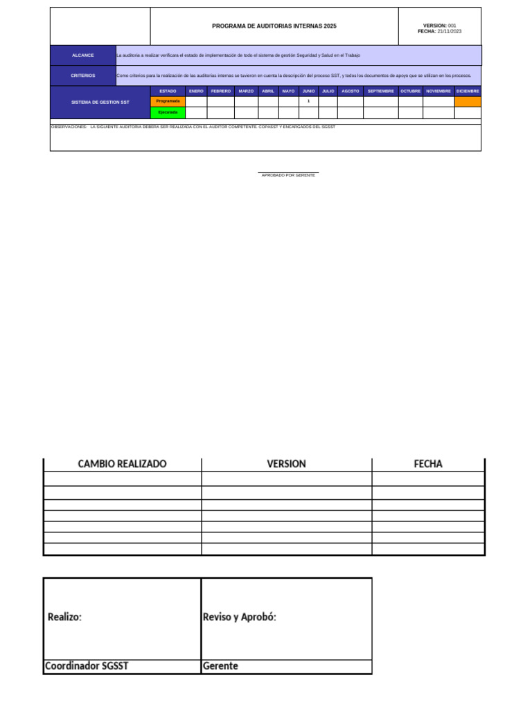 Programa de Auditoria Interna | PDF