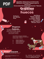 Visceras del Cuerpo Humano: Anatomía y Función | PDF | Sistema ...