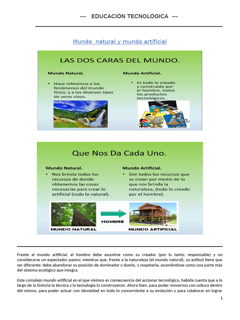 Mundo Natural y Artificial en Educación | PDF | Informática | Naturaleza