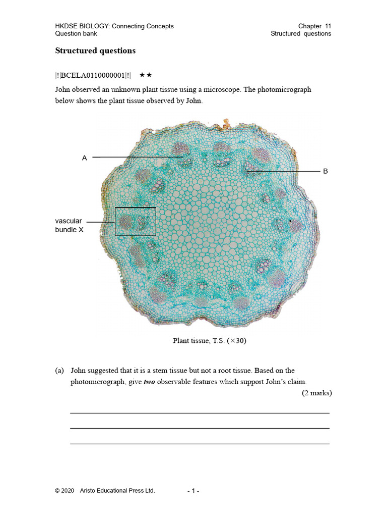 開啟「BIO - Ch11 - LQ - e」 21 | PDF | Leaf | Stoma