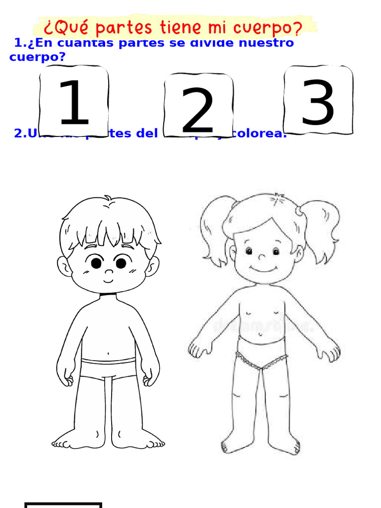 Ficha Las Partes Que Tiene Mi Cuerpo | PDF