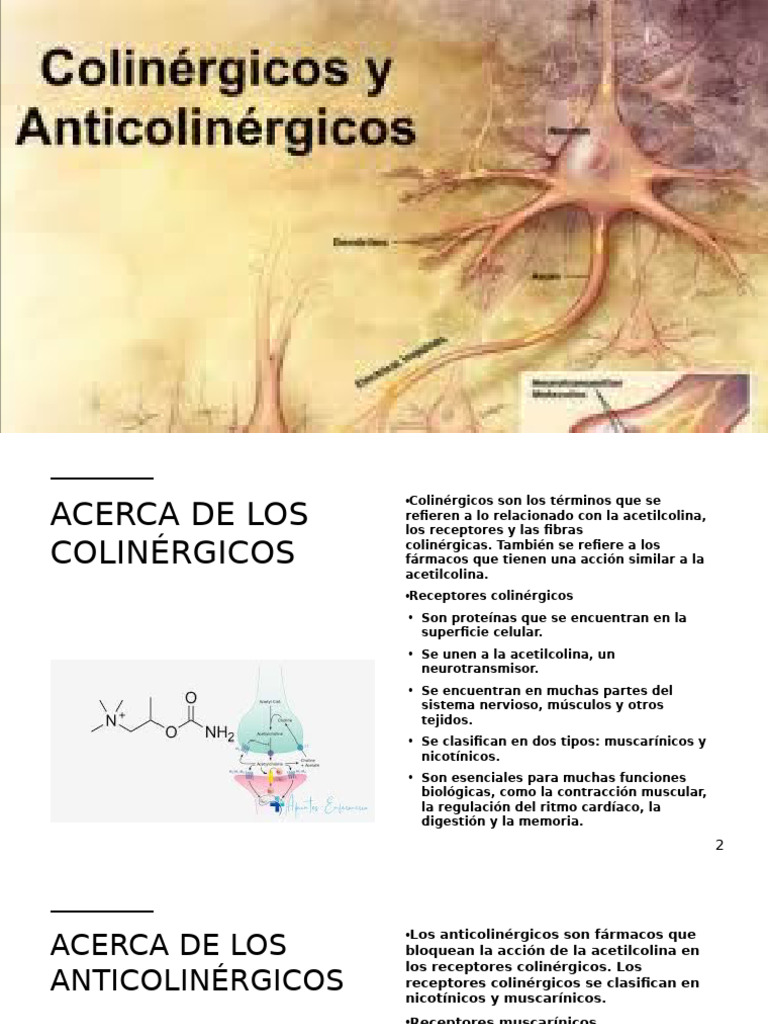 Colinérgicos y Anticolinérgicos | PDF | Acetilcolina | Neuroquímica