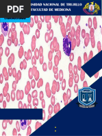 Recuento Diferencial de Leucocitos | PDF | Leucocito | Hematología