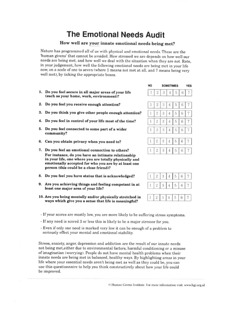 Emotional Needs Audit | PDF