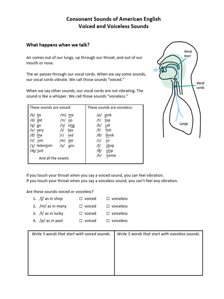 Voiced & Voiceless Sounds Handout | PDF