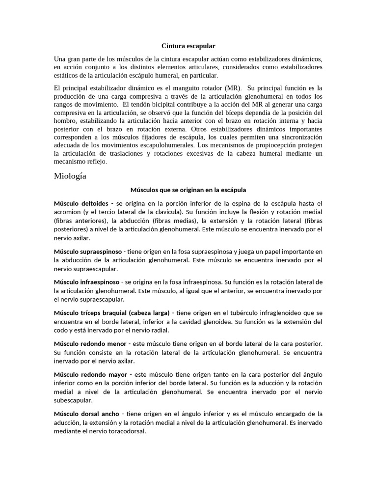 Músculos de la Cintura Escapular | PDF | Neuroanatomía | Extremidades ...
