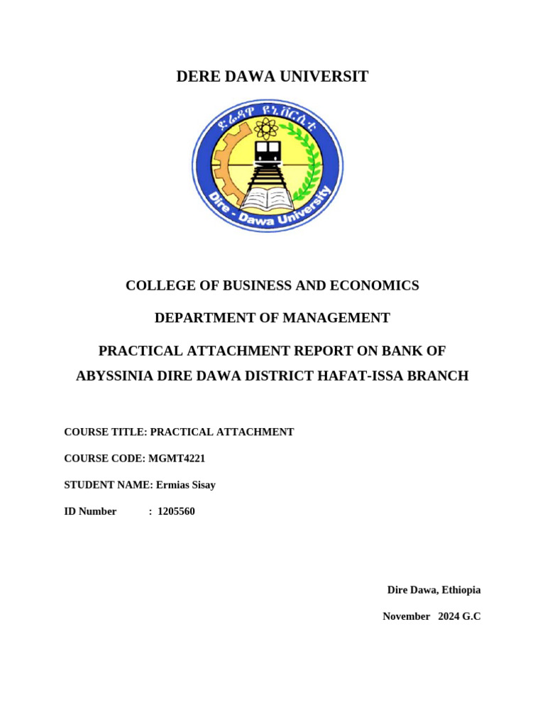 Ermias Sisay Internship Report Fi | PDF | Debits And Credits | Economies