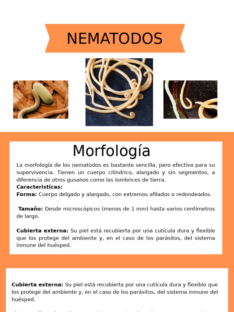 Nema Todos | PDF | Nematodo | Reproducción