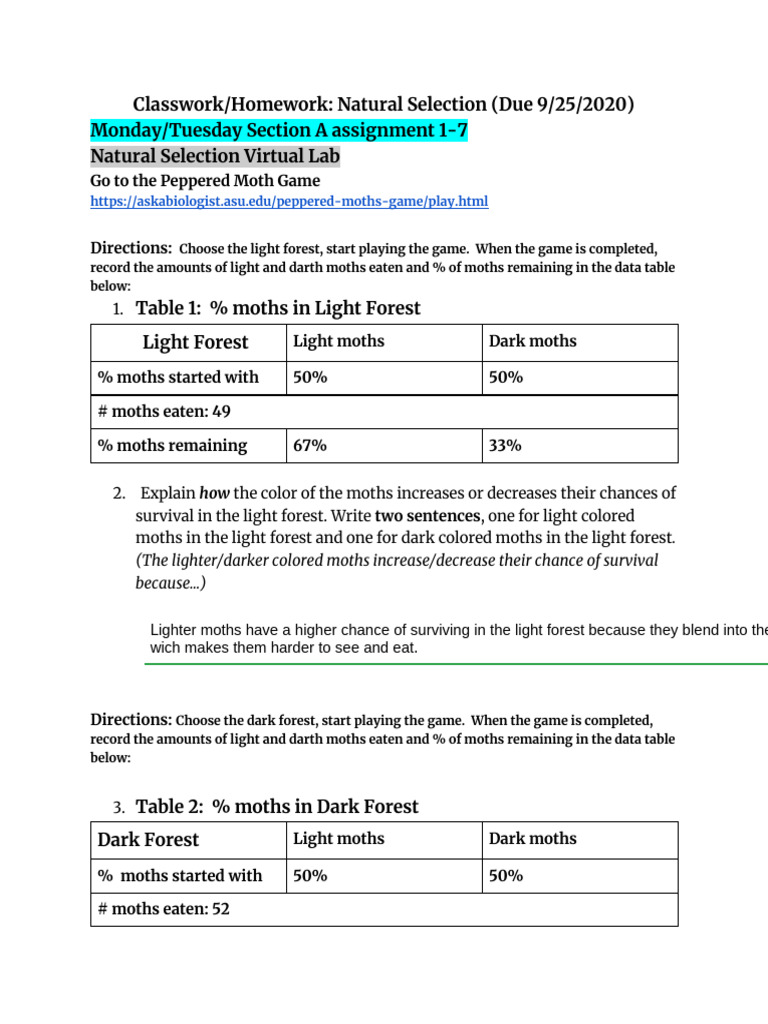 Classwork - Homework - Natural Selection | PDF | Natural Selection ...
