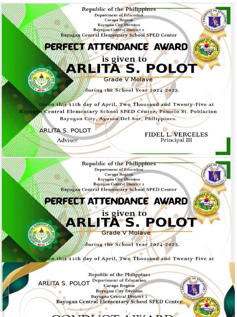 Conduct Award and Perfect Attendance | PDF