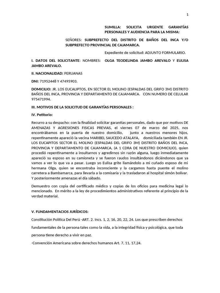 Solicita Garantias El Molino | PDF | Gobierno | Justicia