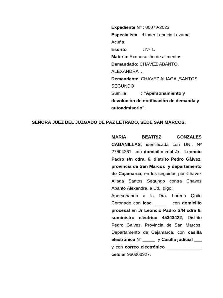 devolucion de cedula de notificación grimaldo cerna, raul llanos | PDF ...