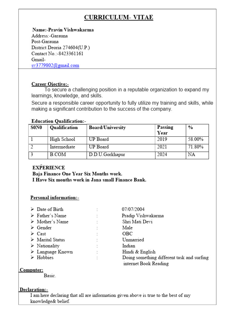 Pravin VISHWAKARMA Biodata | PDF