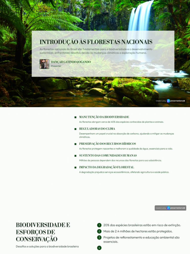 Overview of Brazil's National Forests | PDF