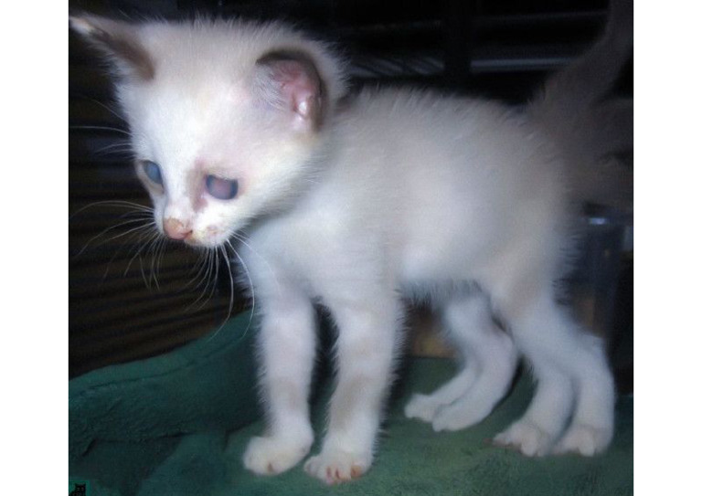 PDFReader 20250402 2053 | PDF