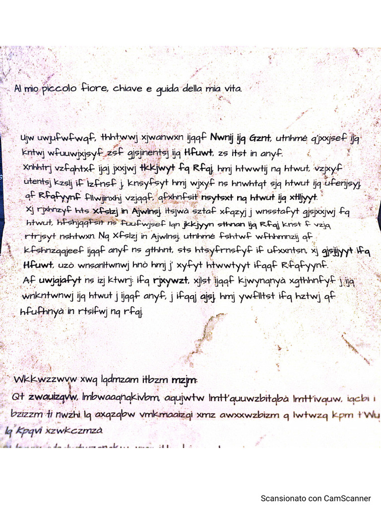 Alchimista Pazzo | PDF