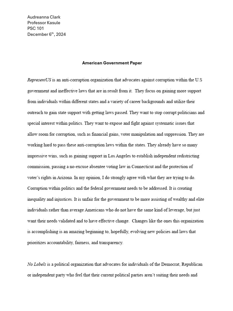 American Government Paper | PDF | Elections | Political Parties