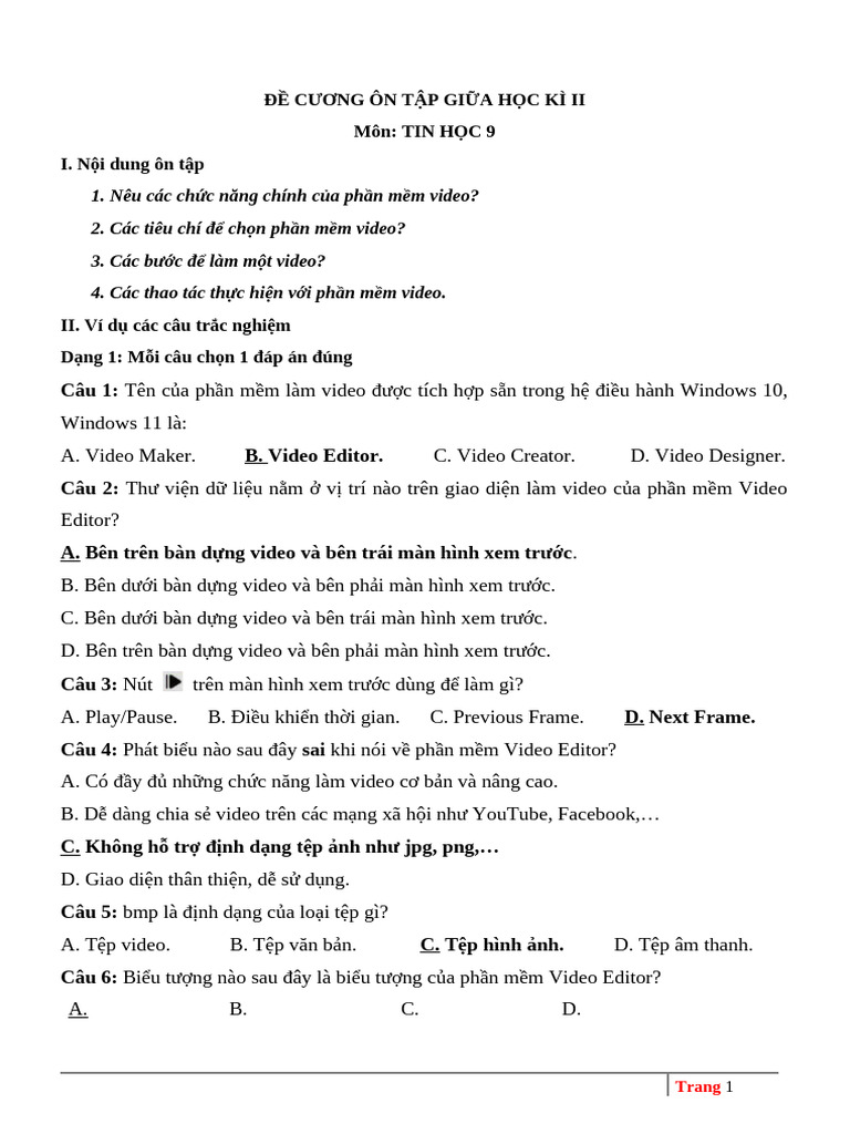 De Cuong On Tap Tin 9 Giua HKII | PDF