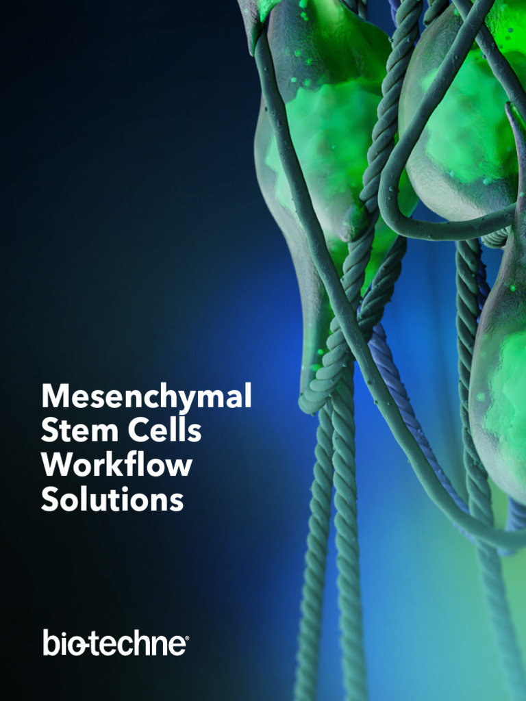 RND Systems MSC BR v2 | PDF | Mesenchymal Stem Cell | Extracellular Matrix