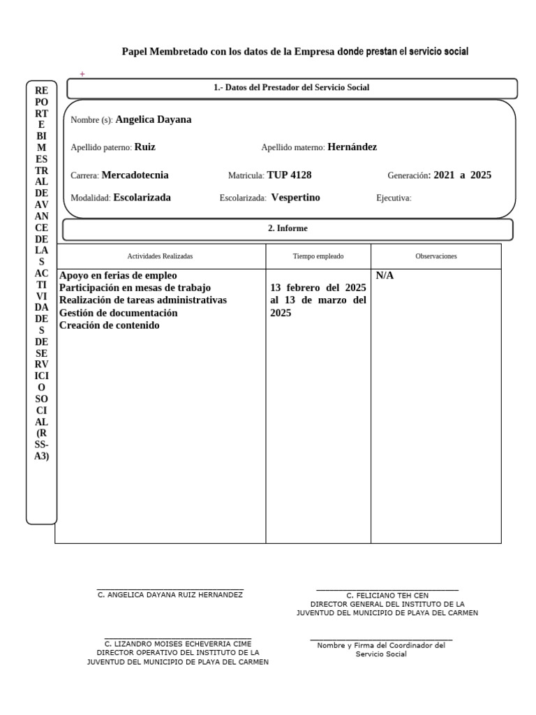Formato Reporte Bimestral (Rss-A3) (3 Reportes) | PDF | Marketing ...