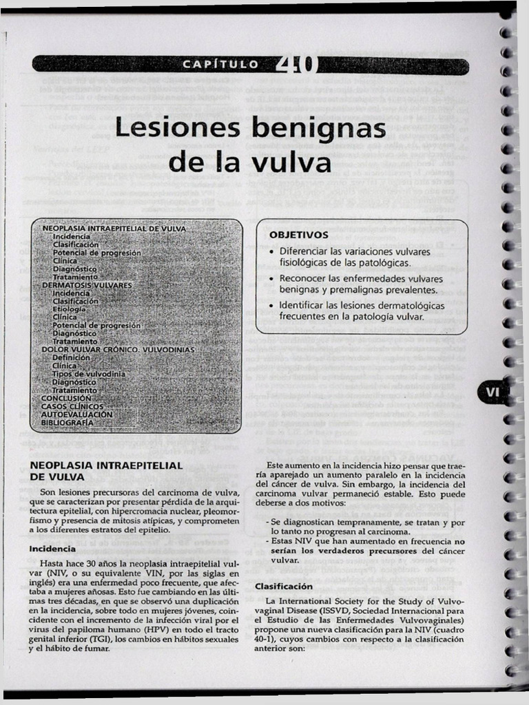 Lesiones benignas en la vulva | PDF | Medicina CLINICA | Especialidades ...