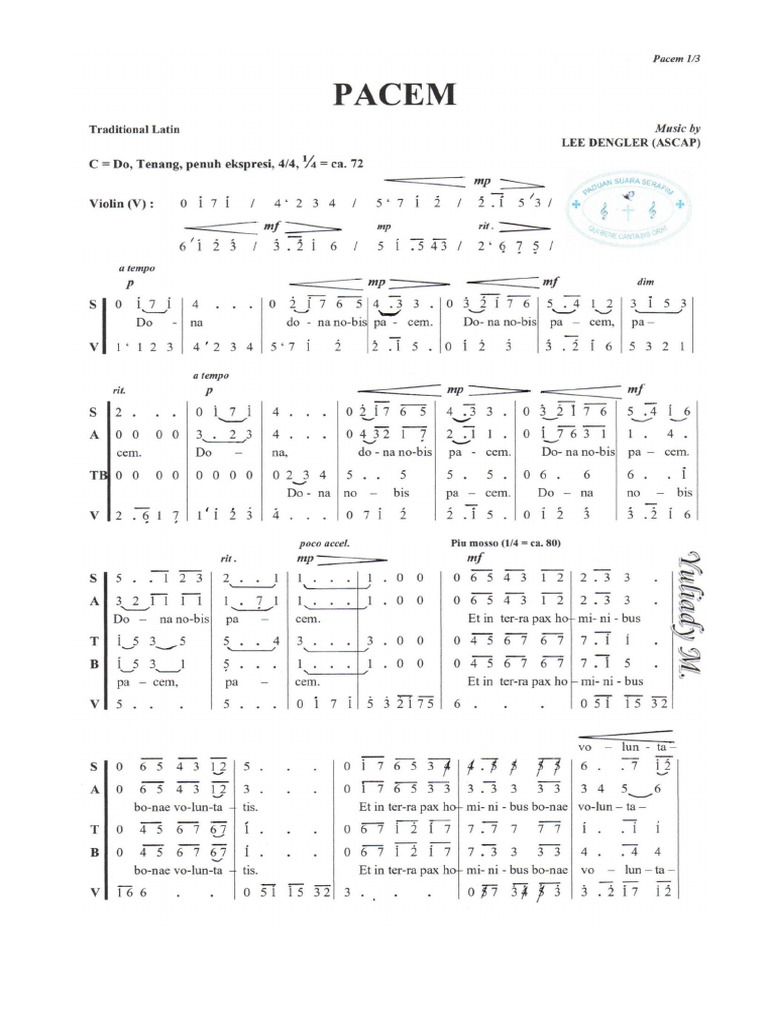 PACEM | PDF
