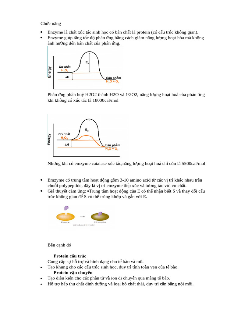 CH C Năng Và NG D NG | PDF