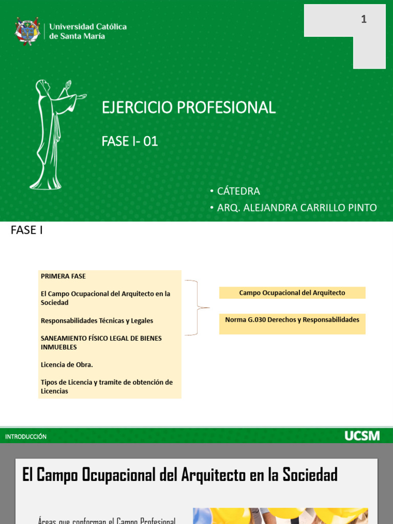Ejercicio Profesional - p01 | PDF | Arquitecto | Habitat