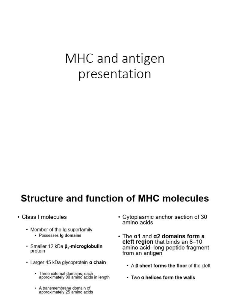 T3 - MHC and Antigen Presentation | PDF | Major Histocompatibility ...