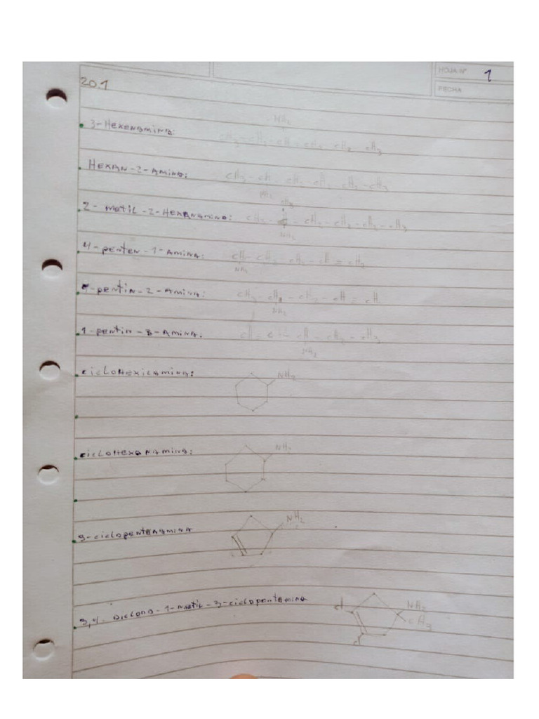 TP Aula Virtual n5 - Martinez Pastur | PDF