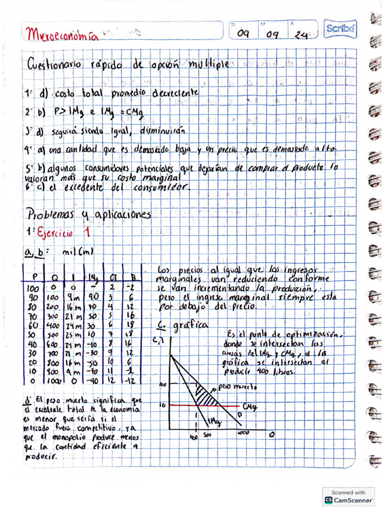 Tarea Micro 10:09:24 | PDF