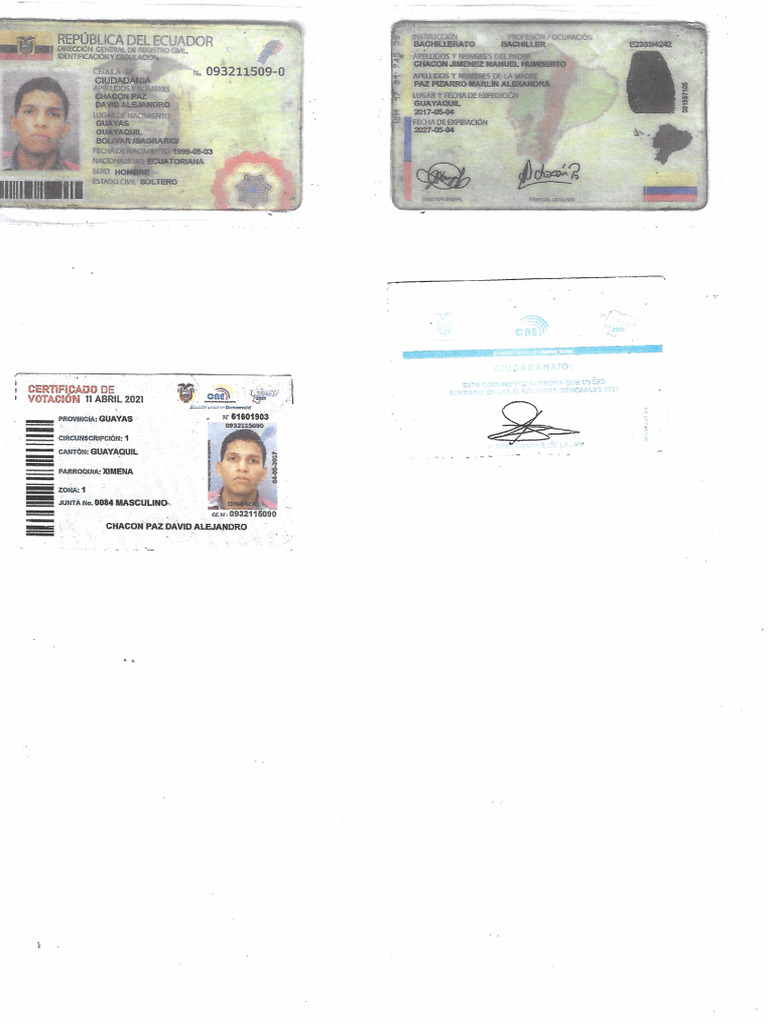 Cedula David Legible | PDF