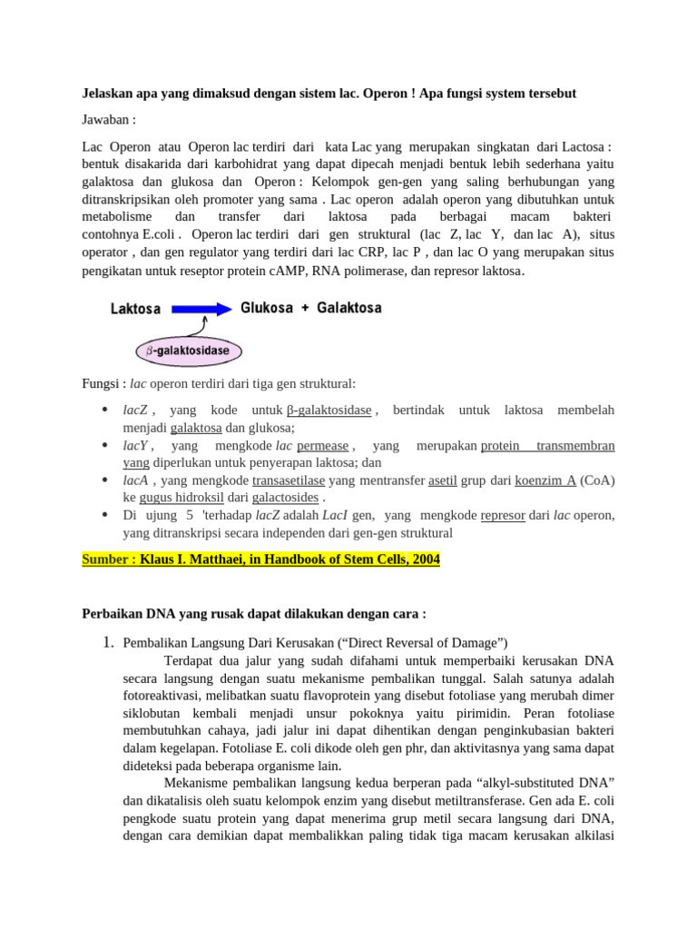 Tugas Genetika Bakteri | PDF